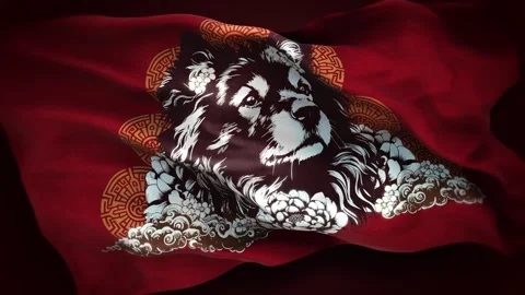 Chinese Red Dog Stock Videos – Royalty-Free HD & 4K Videos