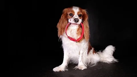 Avoid Walking On Stock Videos – Royalty-Free HD & 4K Videos | Pond5