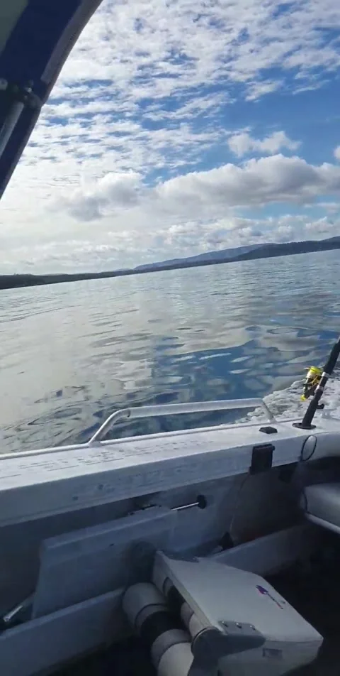 Dog Drives Boat, Sloping Island, Tasmani... | Stock Video | Pond5