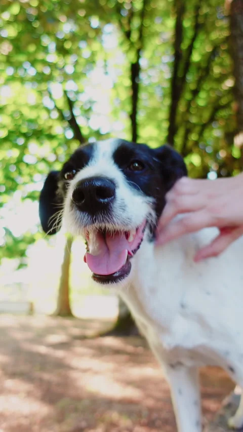 Body No Head Stock Videos – Royalty-Free HD & 4K Videos | Page 3