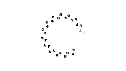 Download Pattern Stock Video Footage | Royalty Free Download Pattern ...