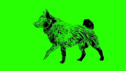 dog green screen animation | Stock Video | Pond5