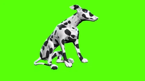 Dog Idle Green Screen Animation and 3D R... | Stock Video | Pond5