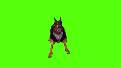 Dog Idle Green Screen Animation 4K Rende... | Stock Video | Pond5