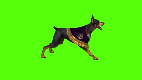 Dog Idle Green Screen Animation 4K Rende... | Stock Video | Pond5
