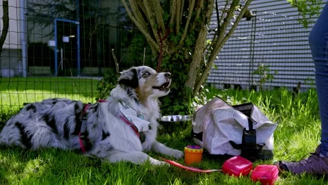 Waiting Session Stock Videos – Royalty-Free HD & 4K Videos