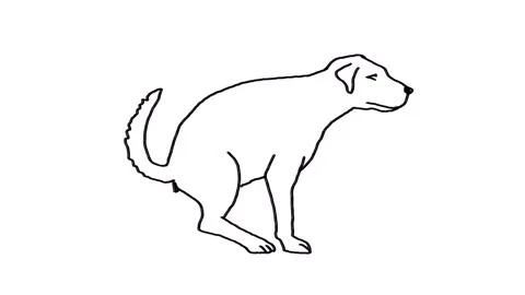 Pono Animation Stock Videos – Royalty-Free HD & 4K Videos