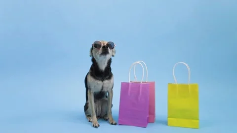 Funs Shop Stock Videos – Royalty-Free HD & 4K Videos