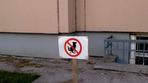 Pooping Dog Stock Video Footage | Royalty Free Pooping Dog Videos | Page 8