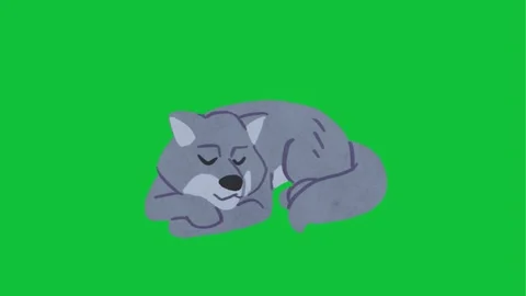 A dog sleeping animation on green screen... | Stock Video | Pond5