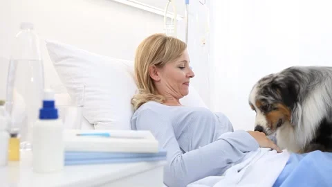 Cheer Ha Stock Videos – Royalty-Free HD & 4K Videos | Pond5