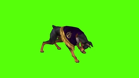 Dog Tired Green Screen Animation 4K Rend... | Stock Video | Pond5