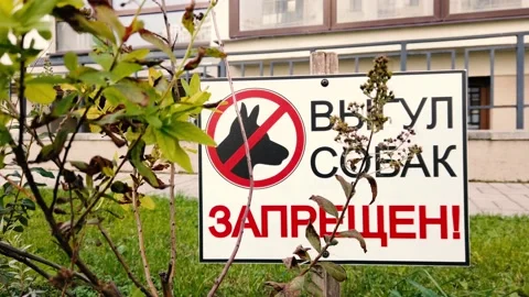 Frame Hang Stock Videos – Royalty-Free HD & 4K Videos