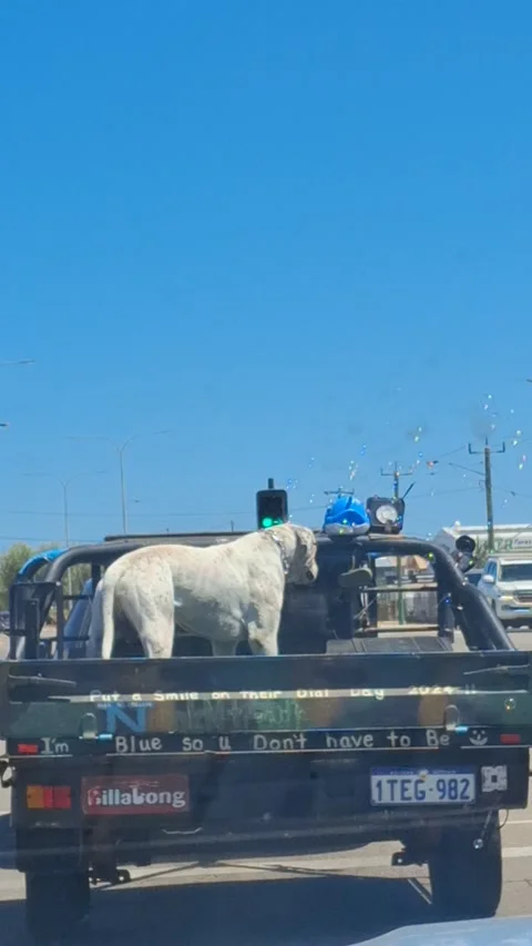 Trailer Share Stock Videos – Royalty-Free HD & 4K Videos | Pond5