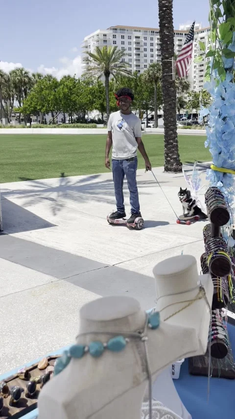 Dog on Wheels With Wings, Fort Lauderdal... | Stock Video | Pond5