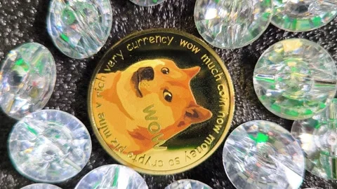 Elon Musk Stock Video Footage | Royalty Free Elon Musk Videos | Pond5