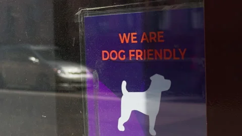 Establishment Friendly Stock Videos – Royalty-Free HD & 4K Videos