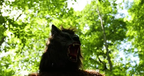 Dogman Werewolf, cryptid in the woods, h... | Stock Video | Pond5