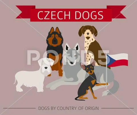 Dogs by country of origin. Czech dog breeds. Infographic template ...