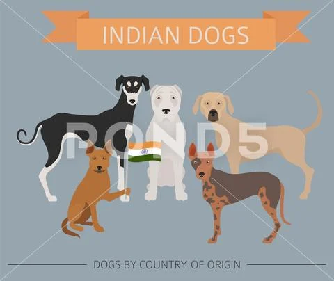 Dogs by country of origin. Indian dog breeds. Infographic template ...