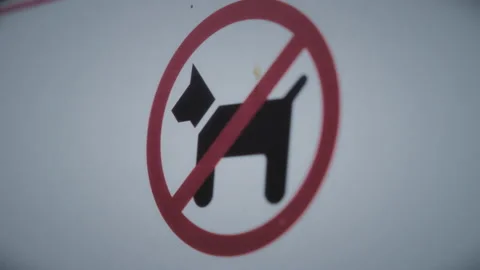 Dogs not allowed sign | Stock Video | Pond5