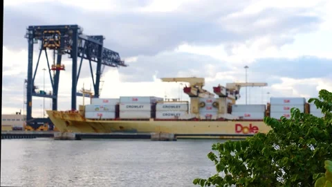Dole Cargo Container Ship in Port Loadin... | Stock Video | Pond5