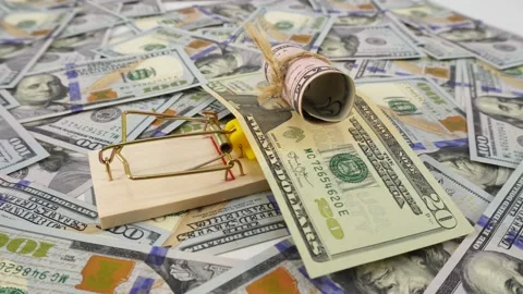 Dollar Bill Mockups Stock Videos – Royalty-Free HD & 4K Videos