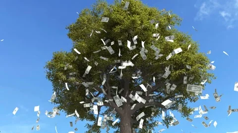 Dollar bill falling from the tree | Stock Video | Pond5