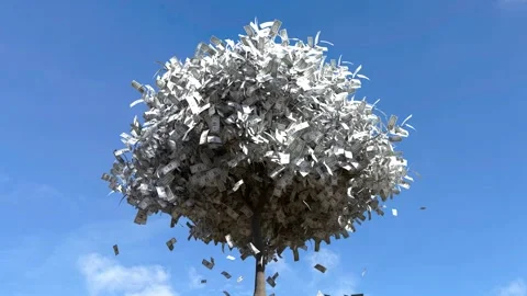 Dollar bill falling from the tree | Stock Video | Pond5