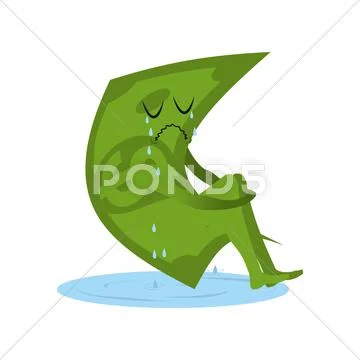 Dollar crying. Money in puddle of tears. Yearning and sob capital. Sad ...