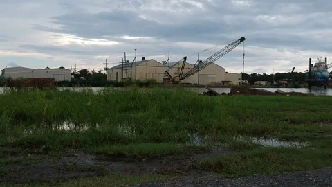 A dolly-boom forward shot of a cane and ... | Stock Video | Pond5