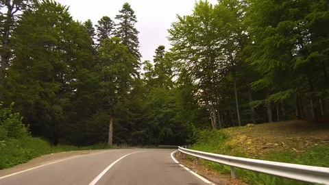 dolly forward - drive through a forest o... | Stock Video | Pond5