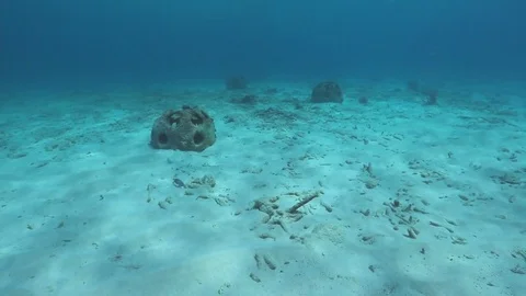 Dolly Ball Stock Footage ~ Royalty Free Stock Videos | Pond5