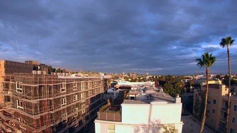 Dolly right by Palm Trees in Hollywood C... | Stock Video | Pond5