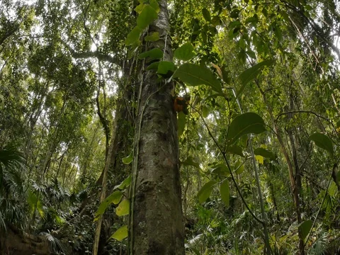 Dolly Landscape Stock Video Footage | Royalty Free Dolly Landscape ...