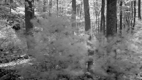 Dolly steadicam shot moving through a b&... | Stock Video | Pond5