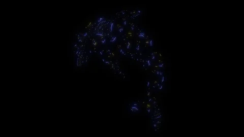 Wild Animal Logo Stock Footage ~ Royalty Free Stock Videos | Pond5