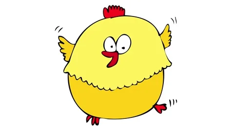 Chicken Fat Farm Stock Videos – Royalty-Free HD & 4K Videos