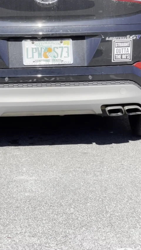 Driver Licence Fl Stock Videos – Royalty-Free HD & 4K Videos