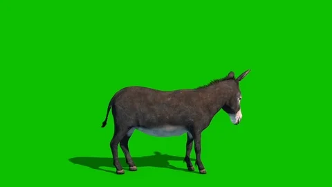 Kick Green Screen Stock Footage ~ Royalty Free Stock Videos | Pond5