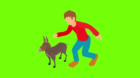 Donkey breeding icon animation | Stock Video | Pond5