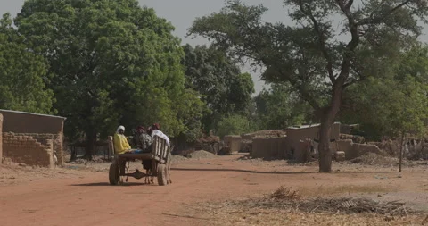 Donkey drawn cart riding through village... | Stock Video | Pond5