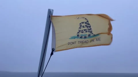 "Don't Tread On Me" Flag Waves in the Wi... | Stock Video | Pond5