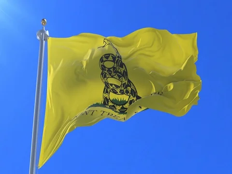 Gadsden Flag Stock Footage ~ Royalty Free Stock Videos | Pond5