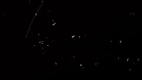 Old Film Scratches Stock Videos – Royalty-Free HD & 4K Videos | Pond5