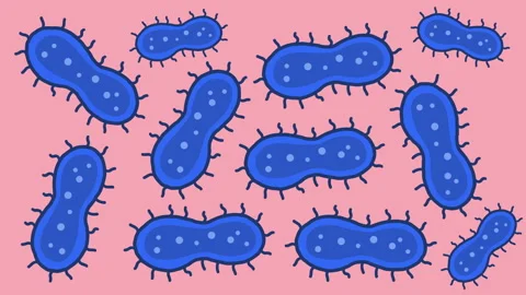 Doodle style animation of set of flat st... | Stock Video | Pond5