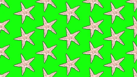 Doodle Style Hand Drawn Animated Vertica... | Stock Video | Pond5