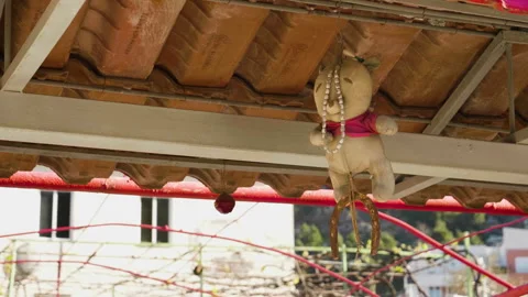 Dordolec, Teddy bear hanging outside to ... | Stock Video | Pond5