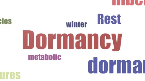 Dormancy Stock Video Footage | Royalty Free Dormancy Videos | Pond5