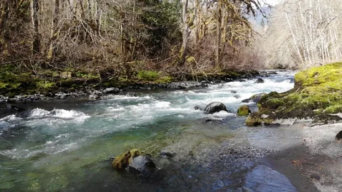 Dosewallips River flows through the Olym... | Stock Video | Pond5